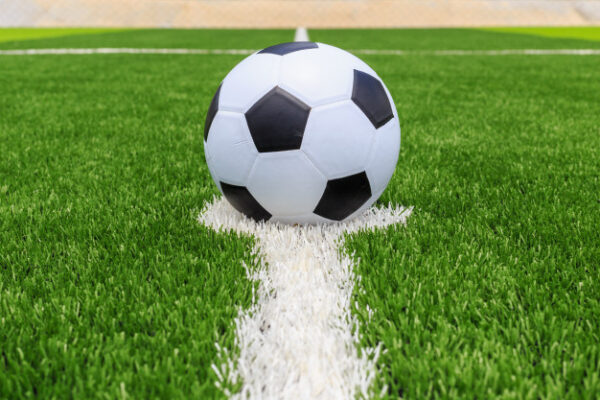 Bola: legenda universal | LavraPalavra